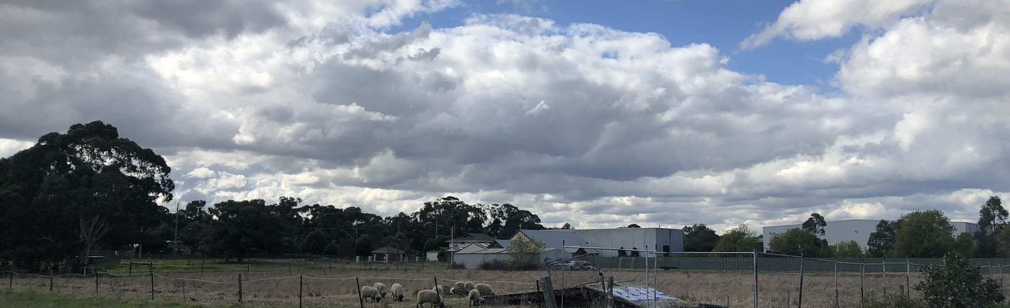 Dingley Bypass Trail: 15 fotos - Victoria, Australia | AllTrails