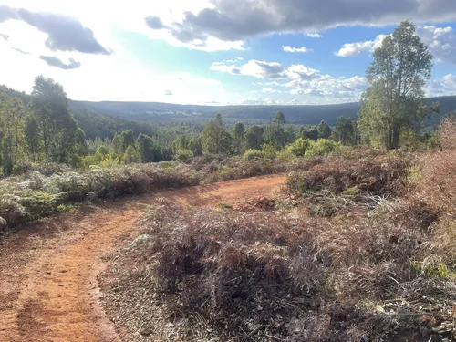 10 Best Hikes and Trails in Lane Poole Reserve | AllTrails