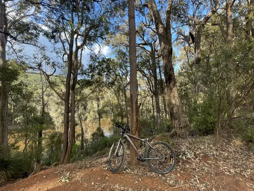 Best Hikes and Trails in Dwellingup | AllTrails