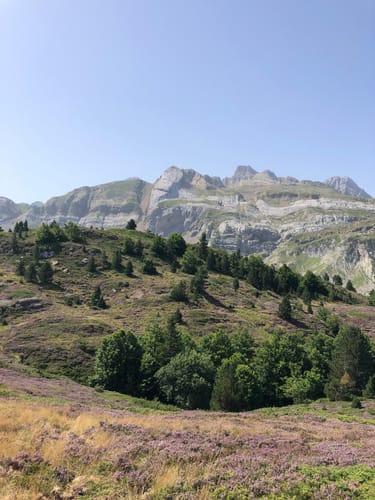 2023 Best 10 Trails and Hikes in Urdos | AllTrails