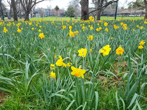 Best Hikes and Trails in Fawkner Park | AllTrails