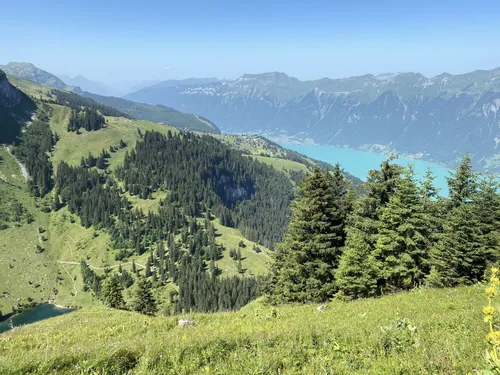 Best Forest Trails in Axalp | AllTrails