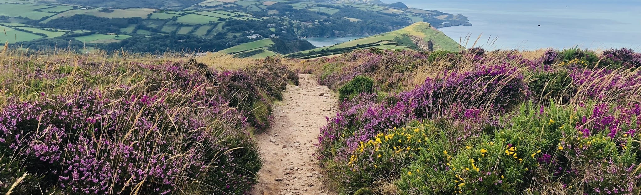 Jose's Lane - Wild Pear Beach - Devon, England | AllTrails