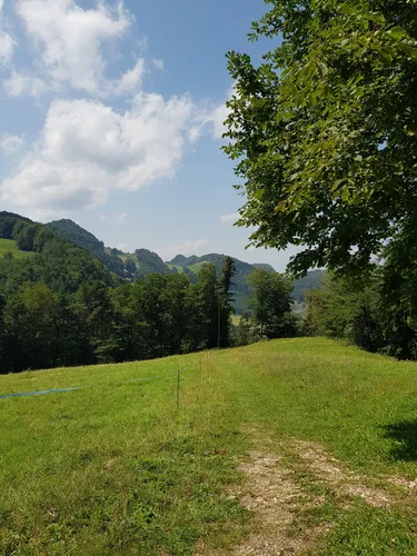 10 Best Trails and Hikes in Basel-Country | AllTrails