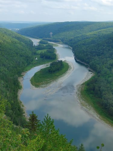 2023 Best Wild Flowers Trails in Saint-Alexis-de-Matapedia | AllTrails