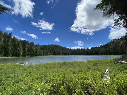 10 Best Snowshoeing Trails in Mount Hood National Forest | AllTrails