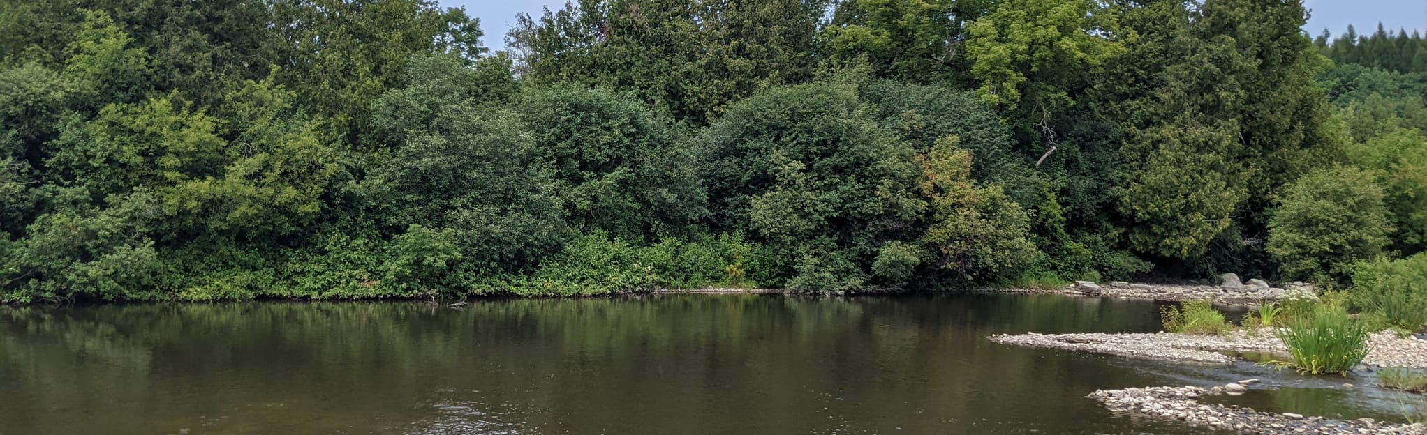 Arkell Big Loop, Ontario, Canada - 69 Reviews, Map | AllTrails