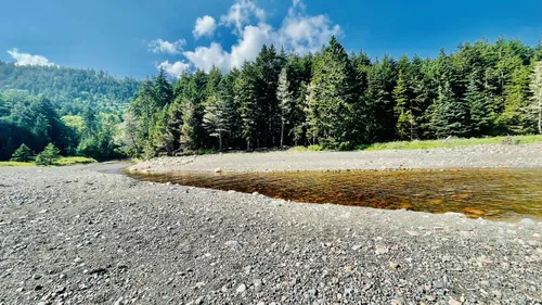 10 Best Hikes and Trails in Little Salmon River Nature Preserve | AllTrails