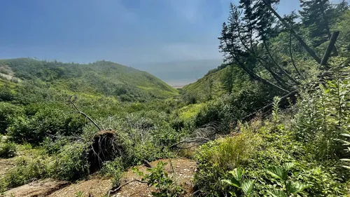 10 Best Hikes and Trails in Little Salmon River Nature Preserve | AllTrails