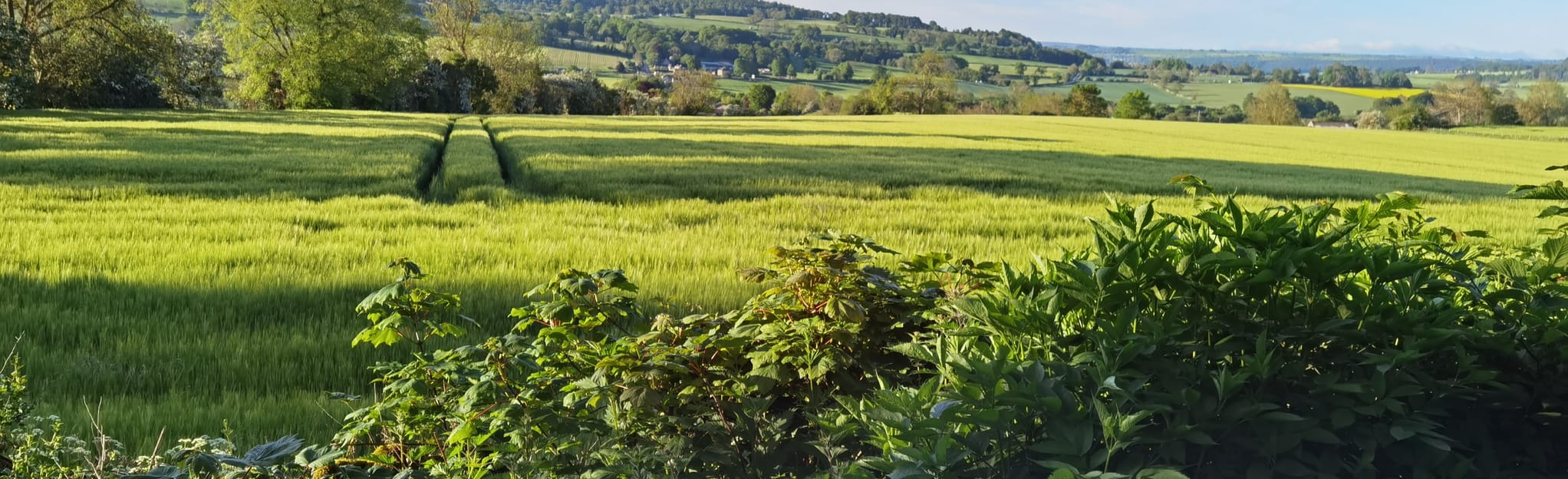 Newbrough, River North Tyne, and Humshaugh Circular: 6 Reviews, Map ...