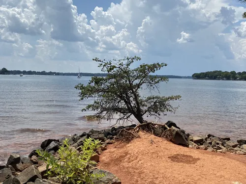 Best Paved Trails in Cornelius | AllTrails