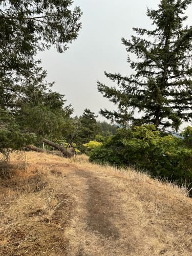 Best Hikes and Trails in Matthews Point Regional Park | AllTrails