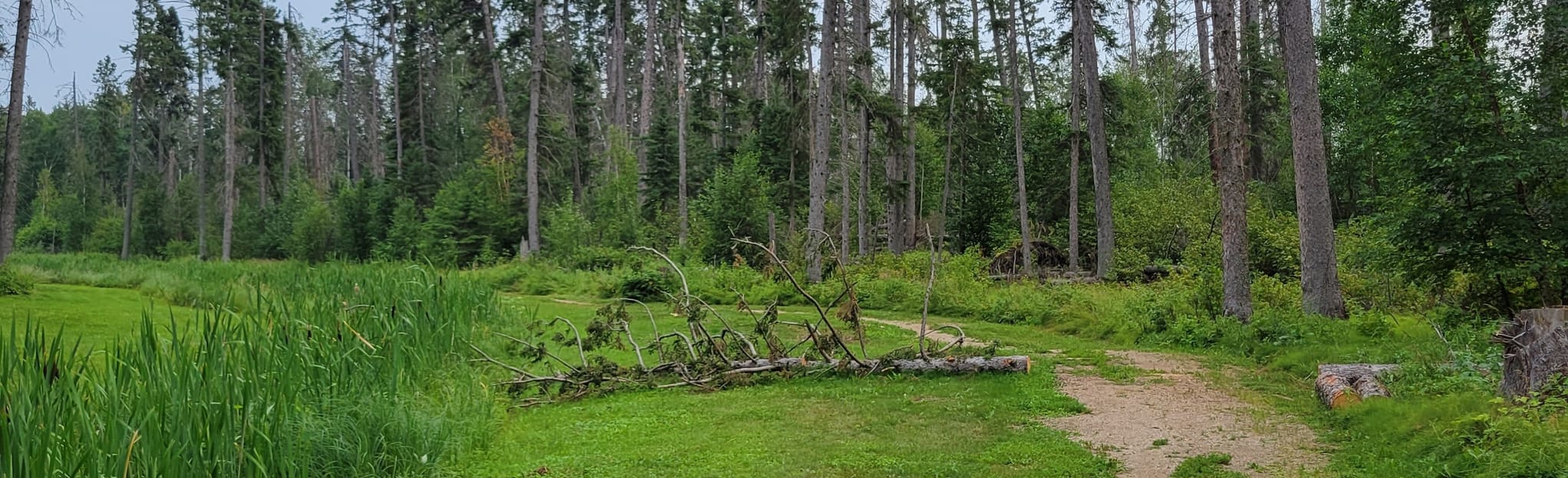 Murray Point Trail | Map, Guide - Saskatchewan, Canada | AllTrails
