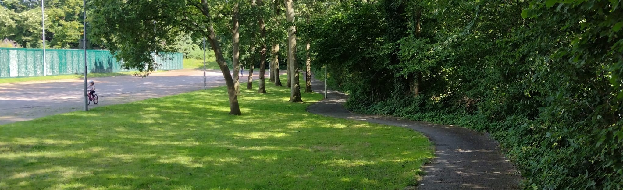 Little Basing Circular: 9 Reviews, Map - Hampshire, England | AllTrails