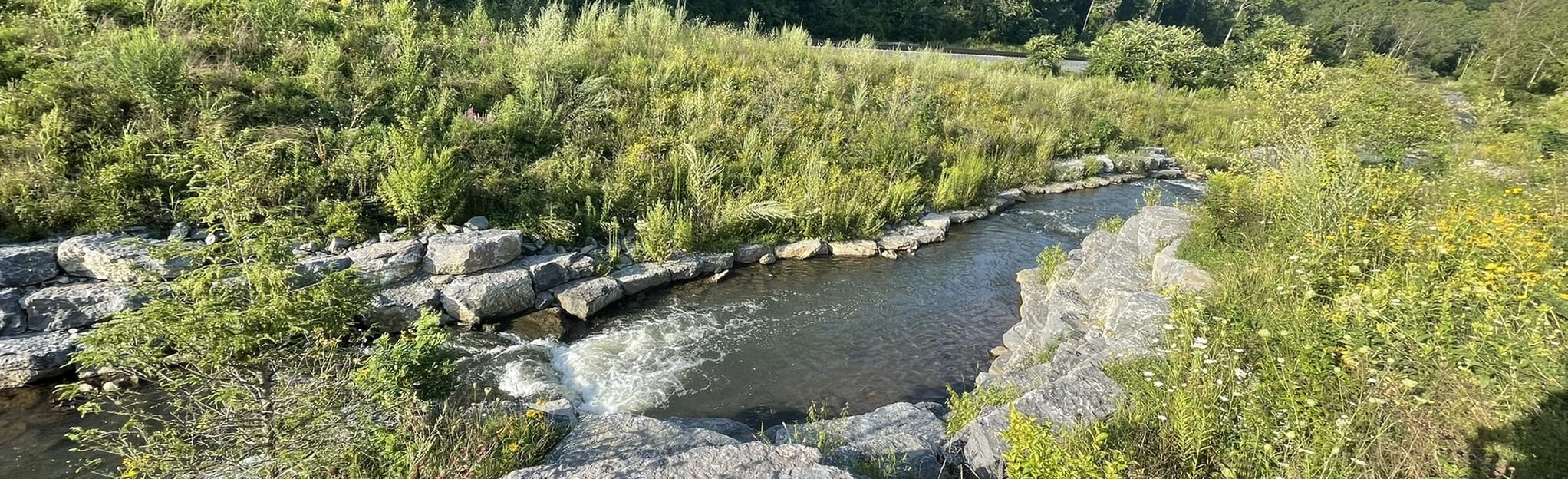 Tivoli Nature Reserve - New York | AllTrails