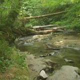 Four County Point Trail, Oregon - 116 Reviews, Map | AllTrails