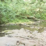 Four County Point Trail, Oregon - 116 Reviews, Map | AllTrails