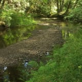 Four County Point Trail, Oregon - 116 Reviews, Map | AllTrails
