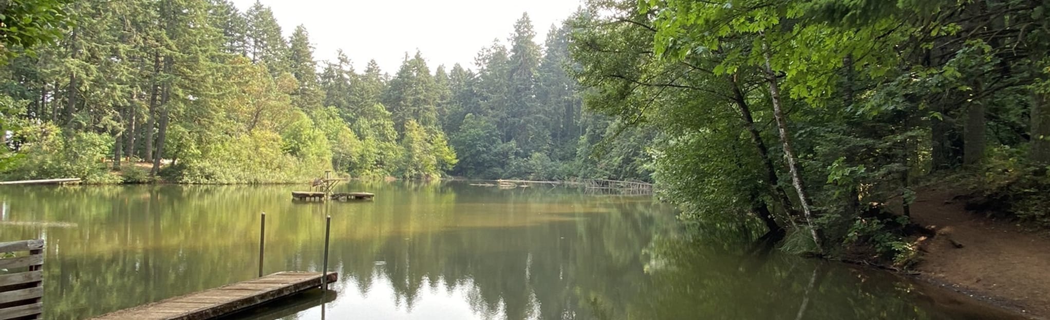 560 and Forest Discovery Loop: 108 Reviews, Map - Oregon | AllTrails