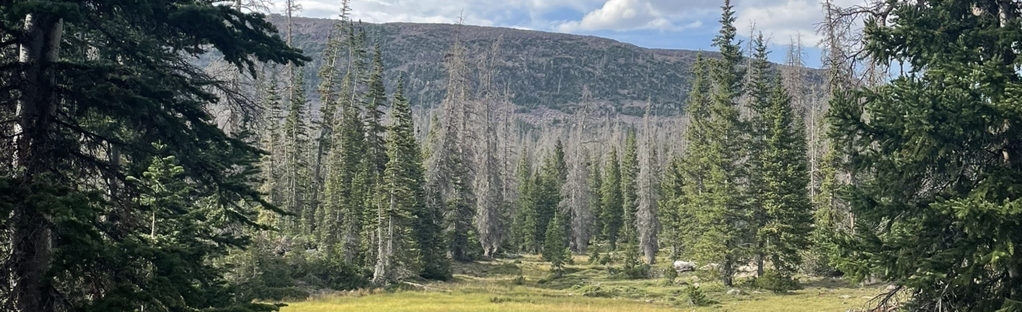 Mill Flat, Duchesne, and Hades Trails Loop (Granddaddy Basin), Utah - 9 ...