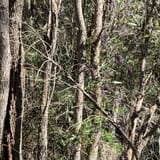 Neerabup Nature Reserve, Western Australia, Australia - 32 Reviews, Map ...