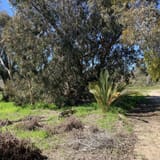 Neerabup Nature Reserve, Western Australia, Australia - 32 Reviews, Map ...