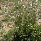 Neerabup Nature Reserve, Western Australia, Australia - 32 Reviews, Map ...