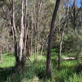 Neerabup Nature Reserve, Western Australia, Australia - 32 Reviews, Map ...