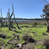 Neerabup Nature Reserve, Western Australia, Australia - 32 Reviews, Map ...