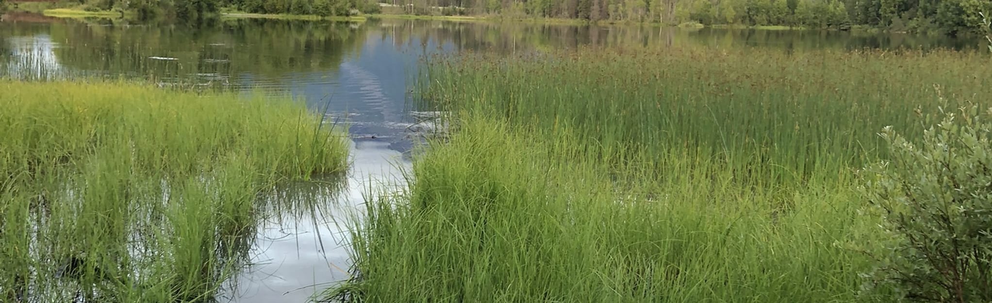 Matanuska and Kepler Lakes Trail, Alaska - 43 Reviews, Map | AllTrails