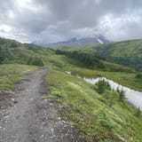Lost Lake via Primrose Trail, Alaska - 238 Reviews, Map | AllTrails