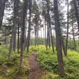 Lost Lake via Primrose Trail, Alaska - 238 Reviews, Map | AllTrails