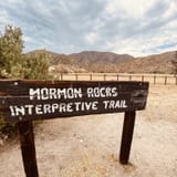Mormon Rocks Interpretive Trail, California - 235 Reviews, Map | AllTrails