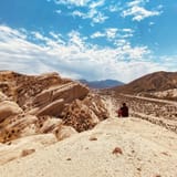 Mormon Rocks Interpretive Trail, California - 235 Reviews, Map | AllTrails