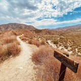 Mormon Rocks Interpretive Trail, California - 235 Reviews, Map | AllTrails