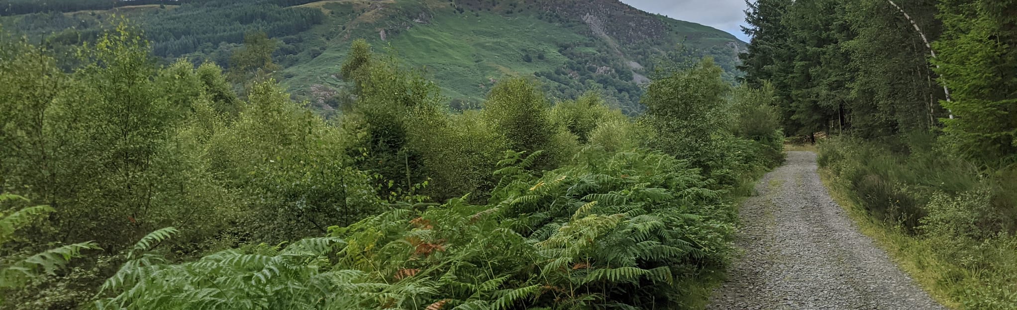 Lochan Spling, Stirling, Scotland - 66 Reviews, Map | AllTrails