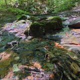 Jacks Knob Trail, Georgia - 135 Reviews, Map | AllTrails