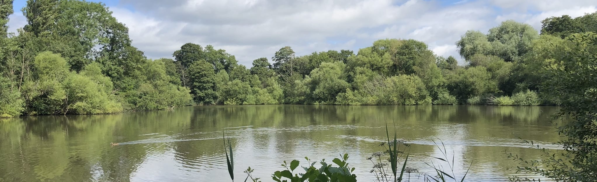 Godstone Paths, Ponds, and Churches, Surrey, England - 359 Reviews, Map ...