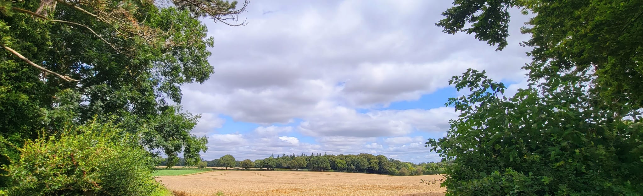 Yattendon Circular: 146 Reviews, Map - Berkshire, England | AllTrails