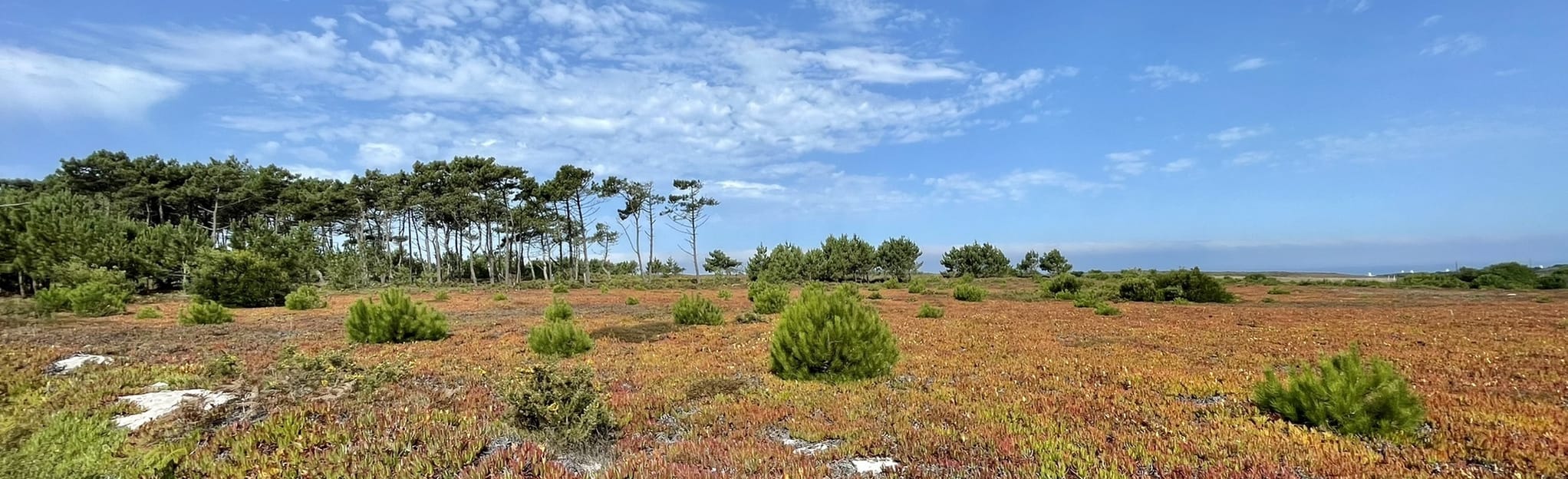 Rota circular de Catribana - Magoito - Praia da Samarra: 91 Reviews ...
