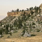 Phipps Park Trail, Montana - 319 Reviews, Map | AllTrails