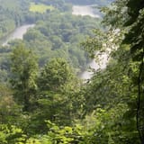 Tidioute Overlook Trail, Pennsylvania - 62 Reviews, Map | AllTrails