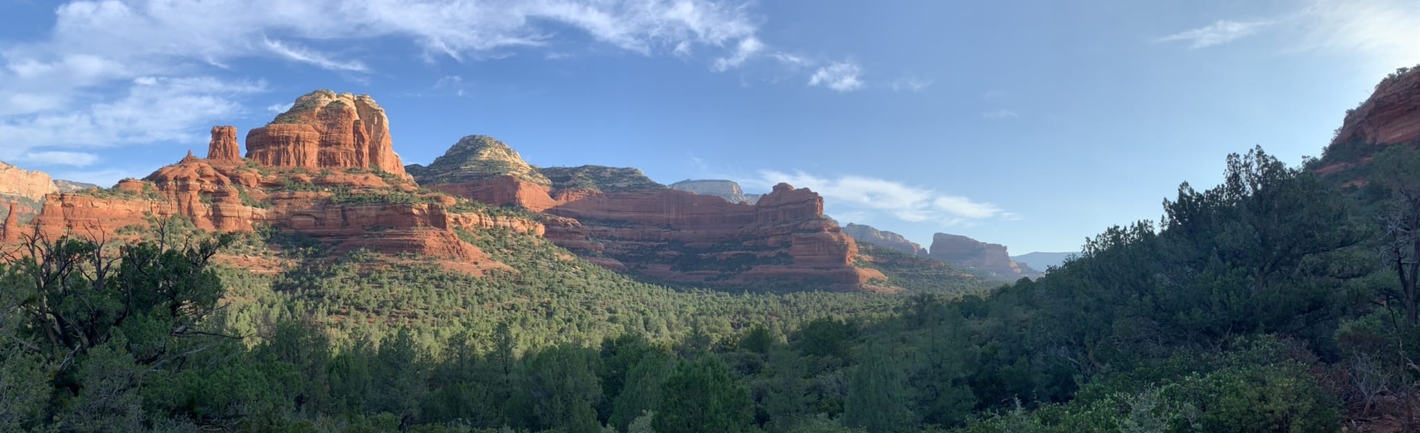 Mescal Mountain Trail, Arizona - 575 Reviews, Map | AllTrails