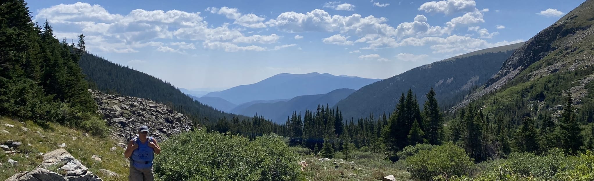 Whale Peak: 118 Reviews, Map - Colorado | AllTrails