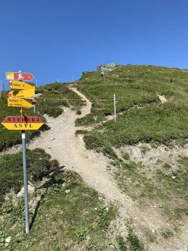 Best Hikes and Trails in Parsonz | AllTrails