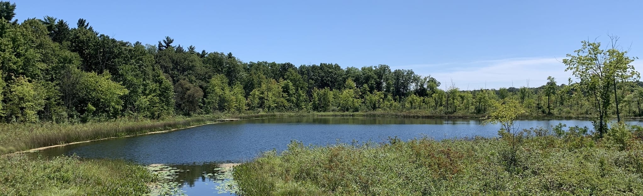 Seven Ponds Nature Loop: 66 Reviews, Map - Michigan | AllTrails