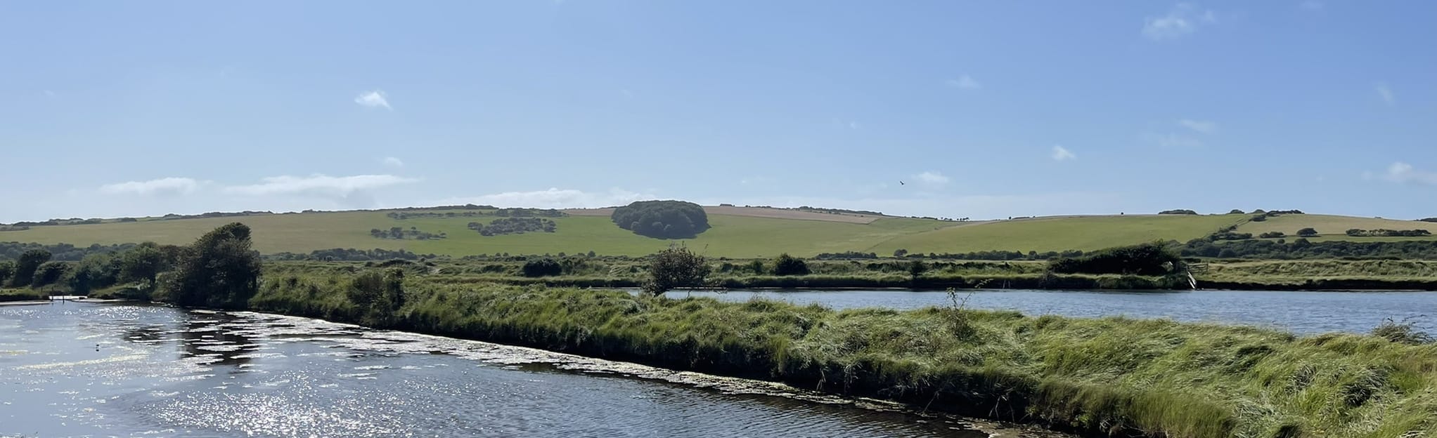 AllTrails | Seven Sisters and Friston Forest Circular: 789 Reviews, Map ...