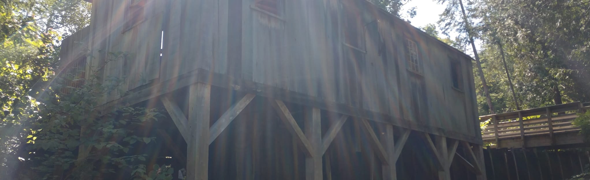 Mill Creek Trail: 17 Reviews, Map - Michigan | AllTrails