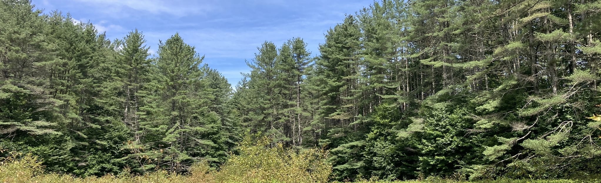 Mahican-Mohawk Trail to Indian Trail Lookout, Massachusetts - 211 ...