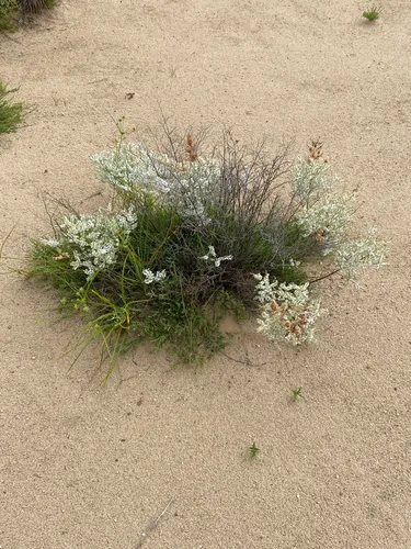 Best Hikes and Trails in Sand Prairie Conservation Area | AllTrails